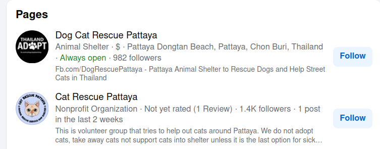 Recommendations for vet to spay a kitten - Page 2 - Pattaya - Thailand ...