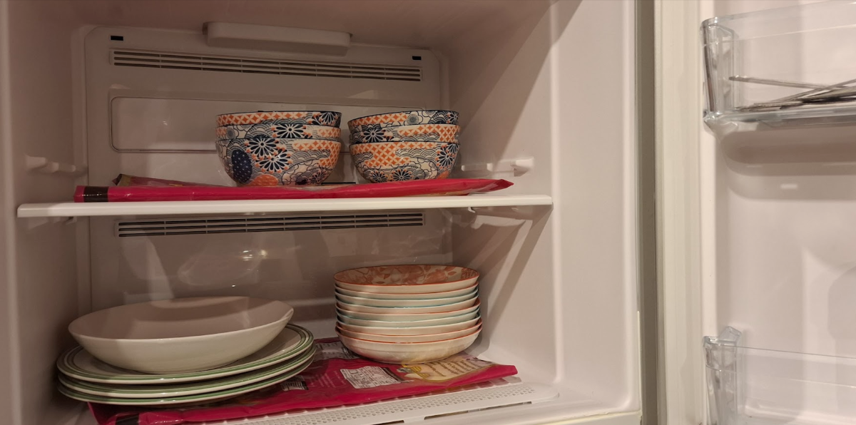 HowTo: Turn my Japanese Fridge into a China Cabinet. How? - DIY Forum ...