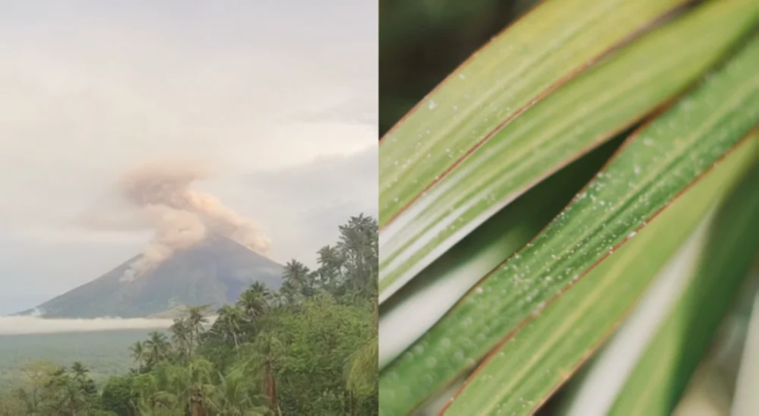 Mayon Volcano Eruption Triggers Ashfall Over LGUs - Philippines News ...