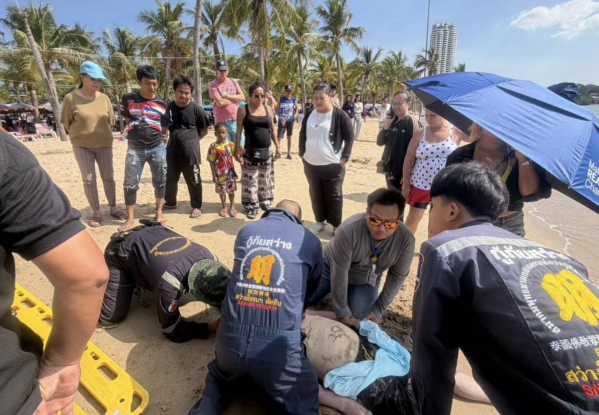 January 2026 SS deposit - US & Canada Topics and Events - Thailand News ...